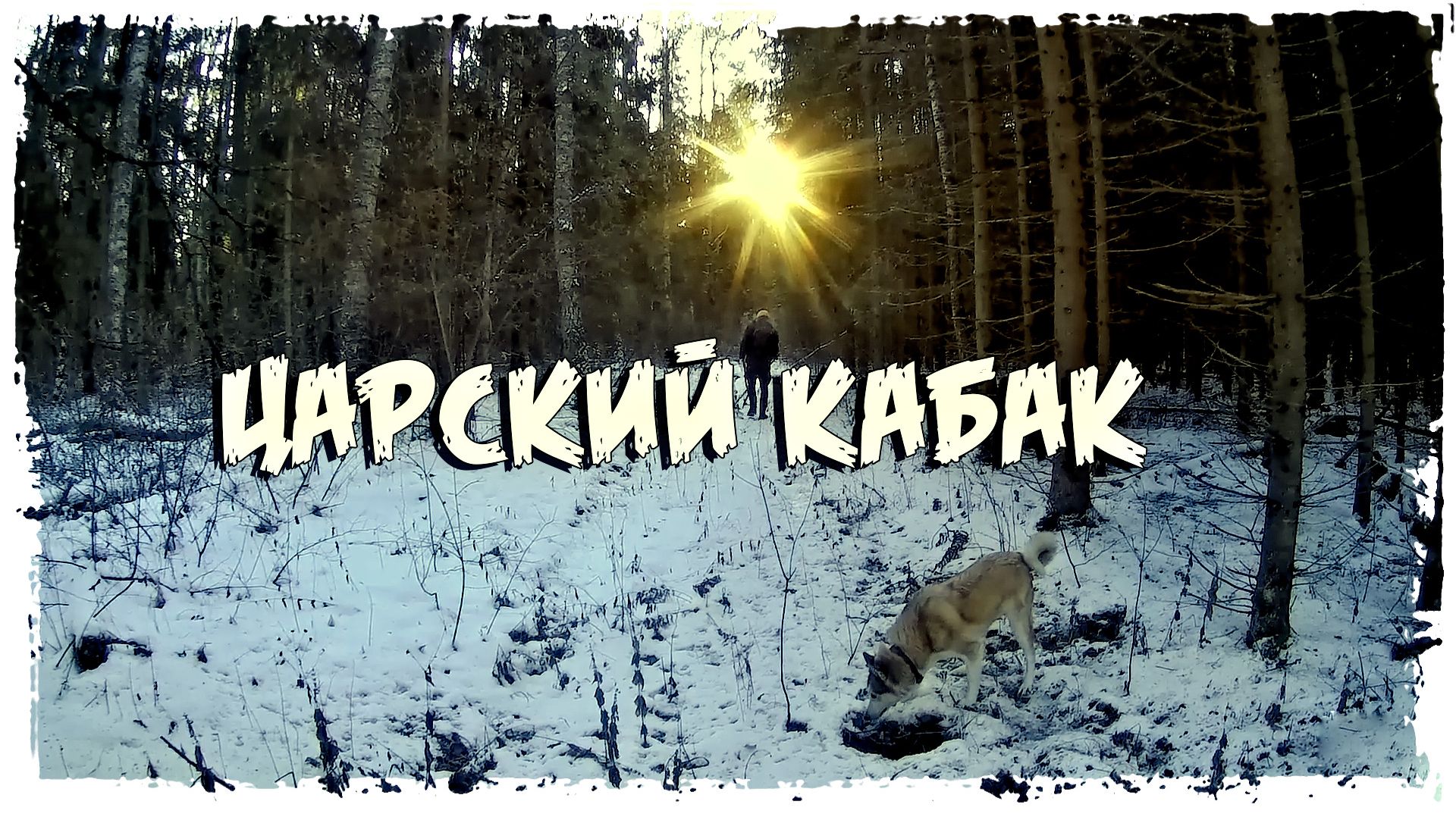 ПОИСКИ КЛАДОВ "ЦАРСКИЙ КАБАК"