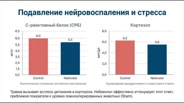 Небиволол восстанавливает память после травмы мозга