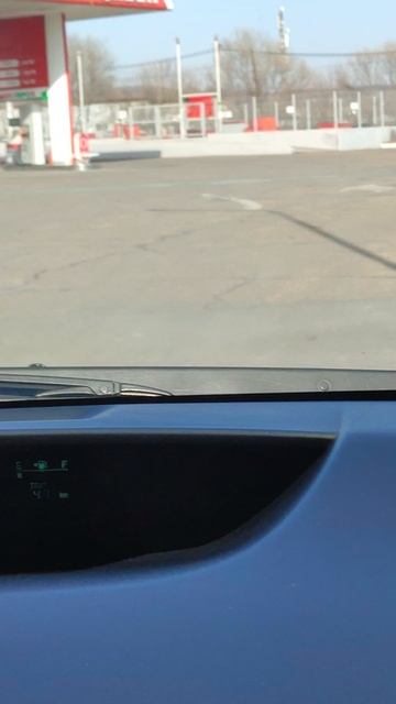 Агутин:Пибарум!