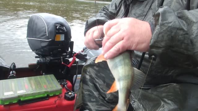 После грозы всегда клюет!..