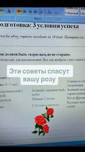 Роза из букета- это просто.