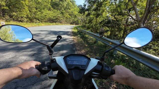 Бокор, Камбоджа. Обезьяна у дороги. Декабрь 2025.