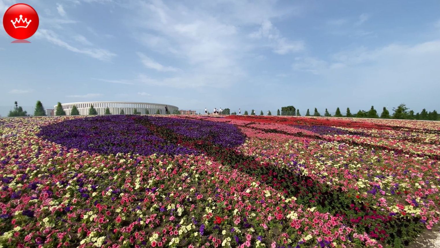 😍Парк Галицкого весной это море из цветов и место притяжения туристов.