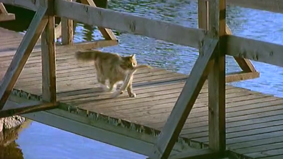 Название фильма: Особенности национальной рыбалки