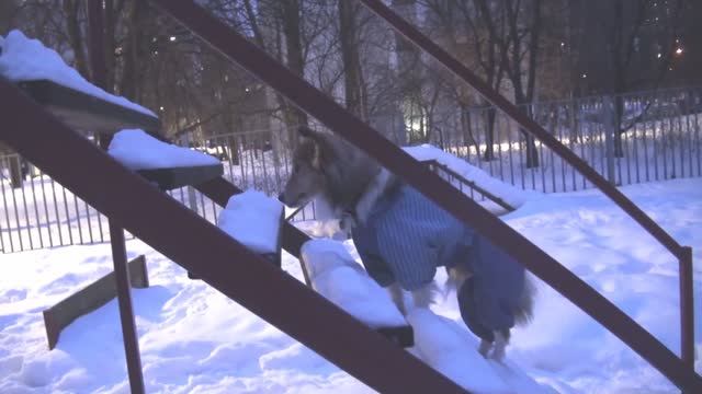 Лета 3.02.2024 субботняя прогулка