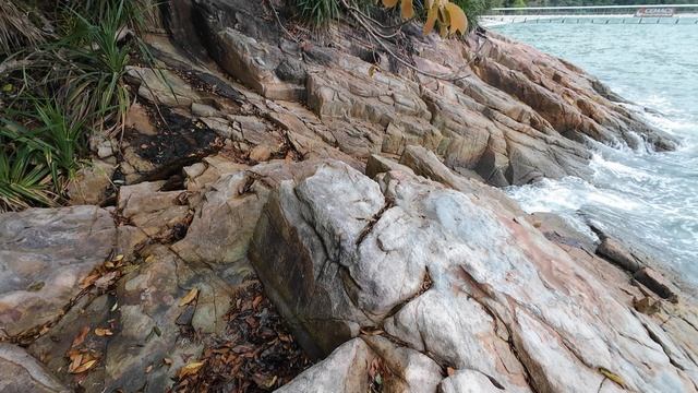 Пинанг, Pejabat Taman Negara, поворот к морю, кусты с шипами. Малайзия. Декабрь 2025.