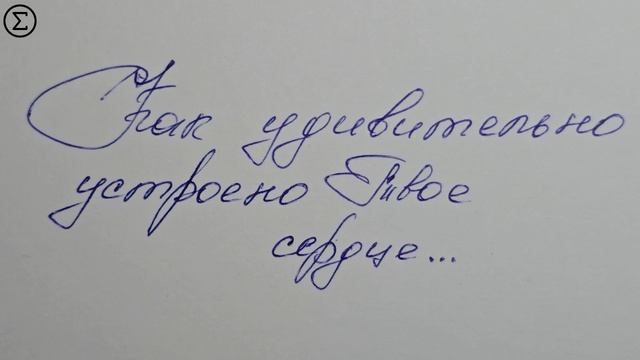 330 письмо к Любимой Женщине от Лео #leolev