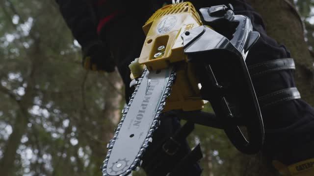 Бензопила Champion 125T-10"