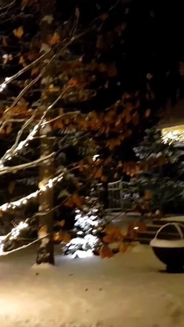 Новогоднее освещение и украшение домовладения.