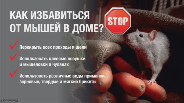 Уникальные родентициды серии "ЭФА" и "Крысогон"