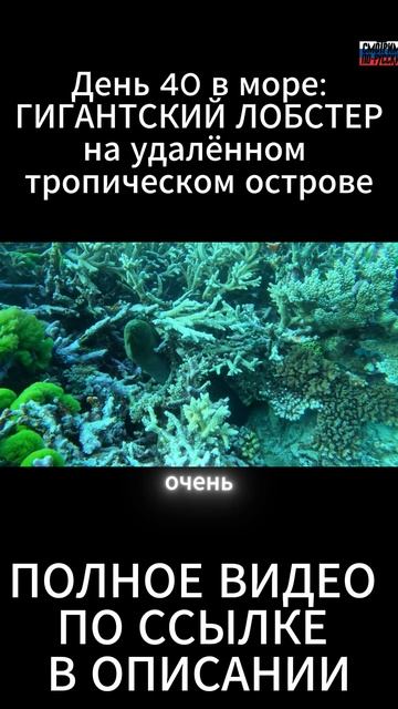 День 40 в море: ГИГАНТСКИЙ ЛОБСТЕР на удалённом тропическом острове ЧАСТЬ 10/11
