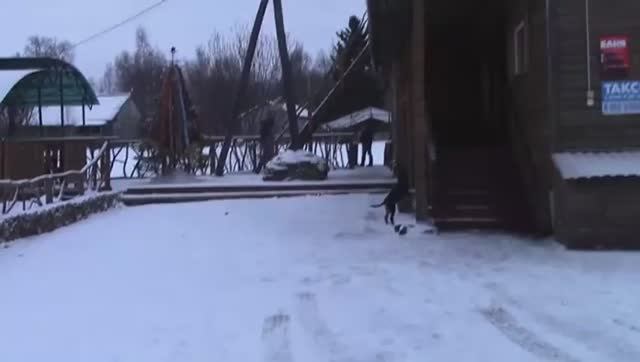 Флэшка Жириновского! Прилипла в Общей Бане! На Поисковый Магнит!