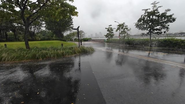 Сингапур, Gardens by the Bay  фонтан. Декабрь 2025