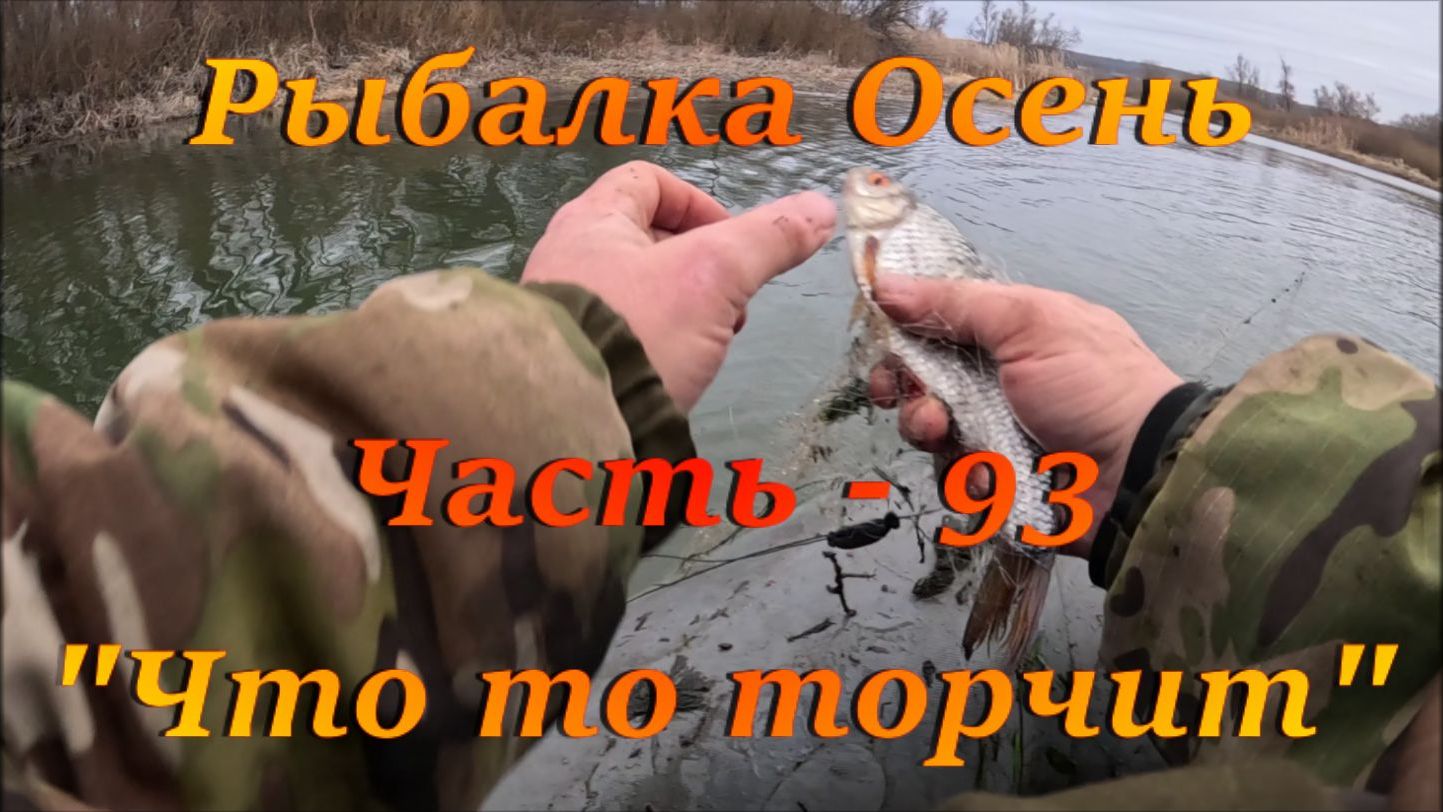 Рыбалка Осень. Часть - 93. "Что то торчит".