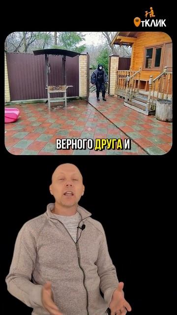 Начинать обучение охранной собаки.