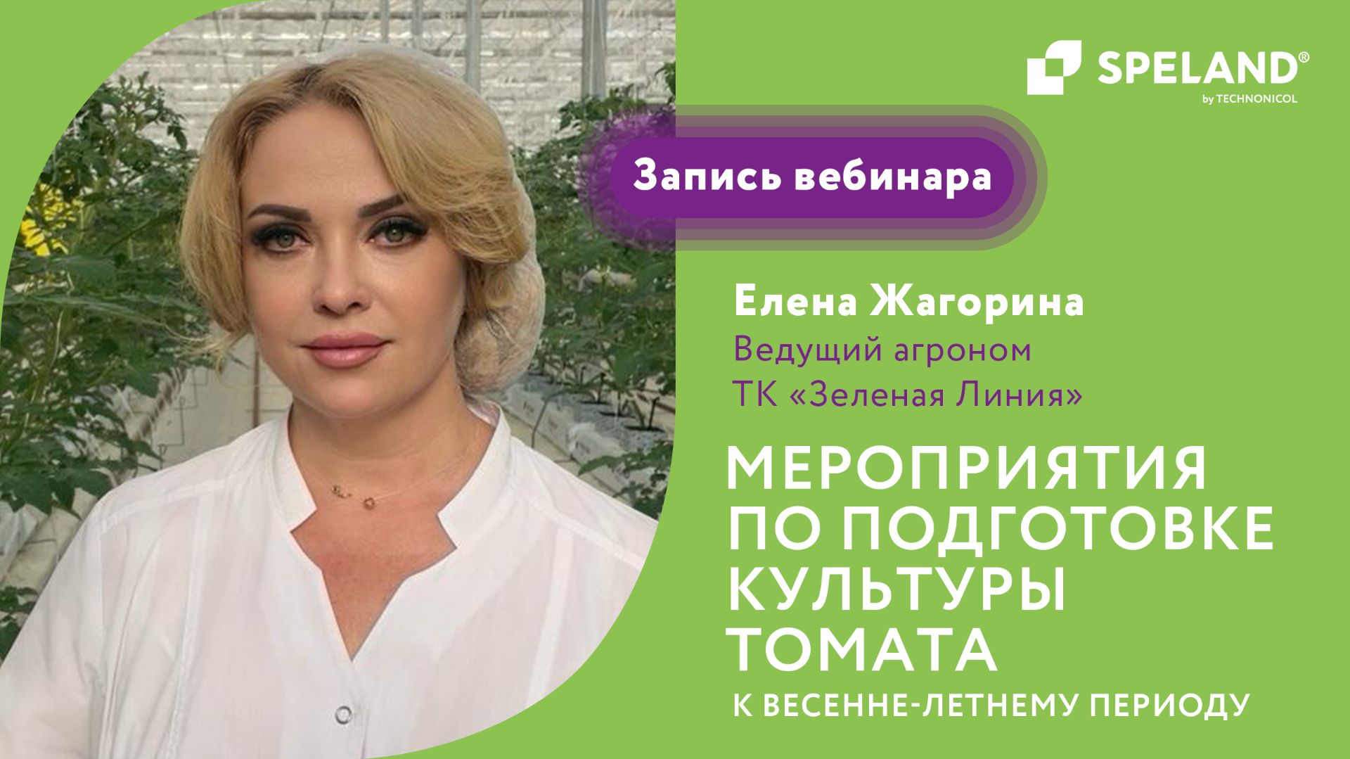 Вебинар: мероприятия по подготовке культуры томата к весенне-летнему периоду