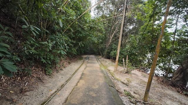 Пинанг, Pejabat Taman Negara, вход в парк. Малайзия. Декабрь 2025