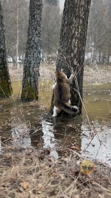 Выжить Любой Ценой 🙀🫶🤯