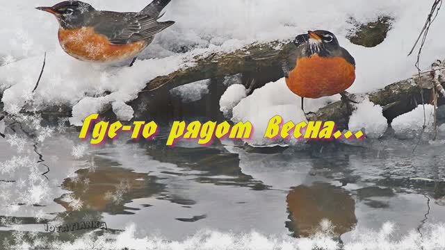 Доброе утро!🎸 Где-то рядом весна...💯🔆