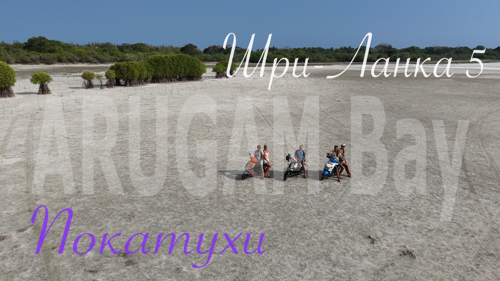 Шри-Ланка 🇱🇰 Sri Lanka Arugam Bay 🌴 #travel #srilanka #animals #arugambay