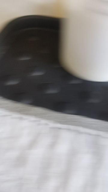 23-02-2026 посадка лука эксибишен