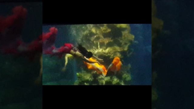 Винперл-Вьетнам, Нячанг