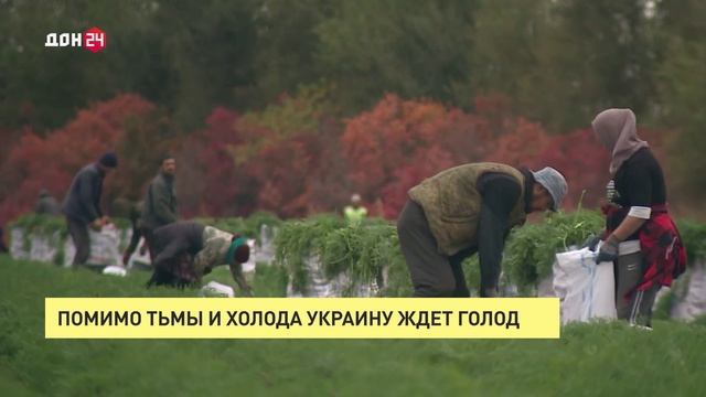 Помимо тьмы и холода Украину ждет голод