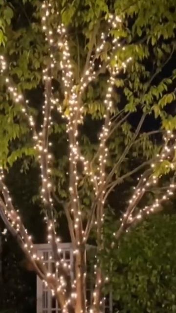 Освещение частного сада.