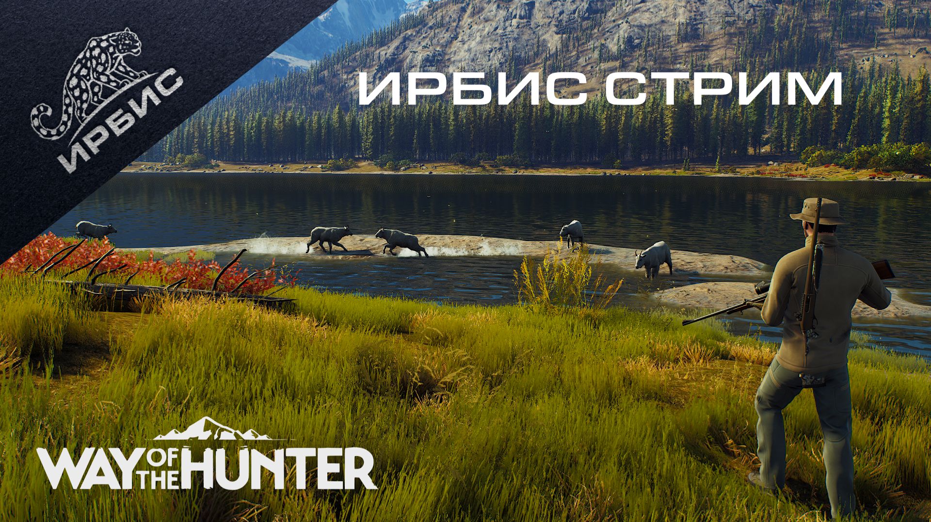 Way of the Hunter | Регион Дьяволицы | 14