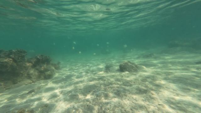 Остров Ко Ронг (Koh Rong), Снорклинг пляж Lonely Beach - рыбки, камни . Декабрь 2025. Камбоджа.