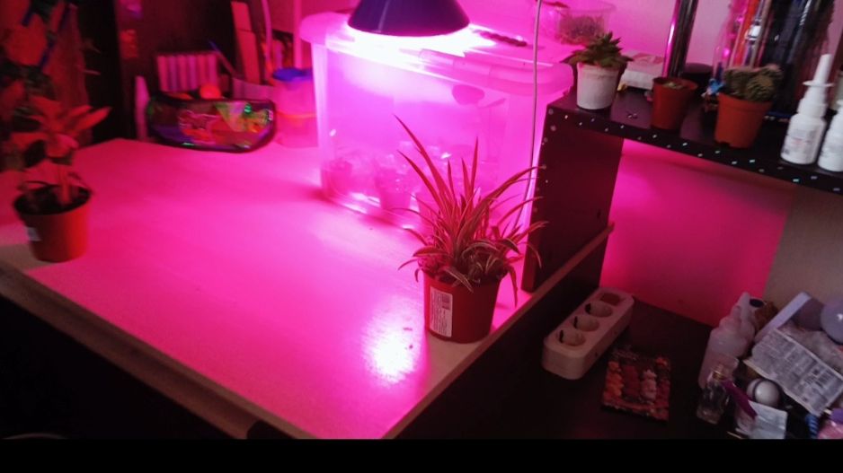 Влоги про нашу нескучную жизнь на пенсии 26/27.02.2026г