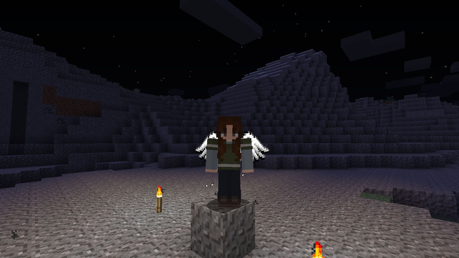 Мод На Крылья