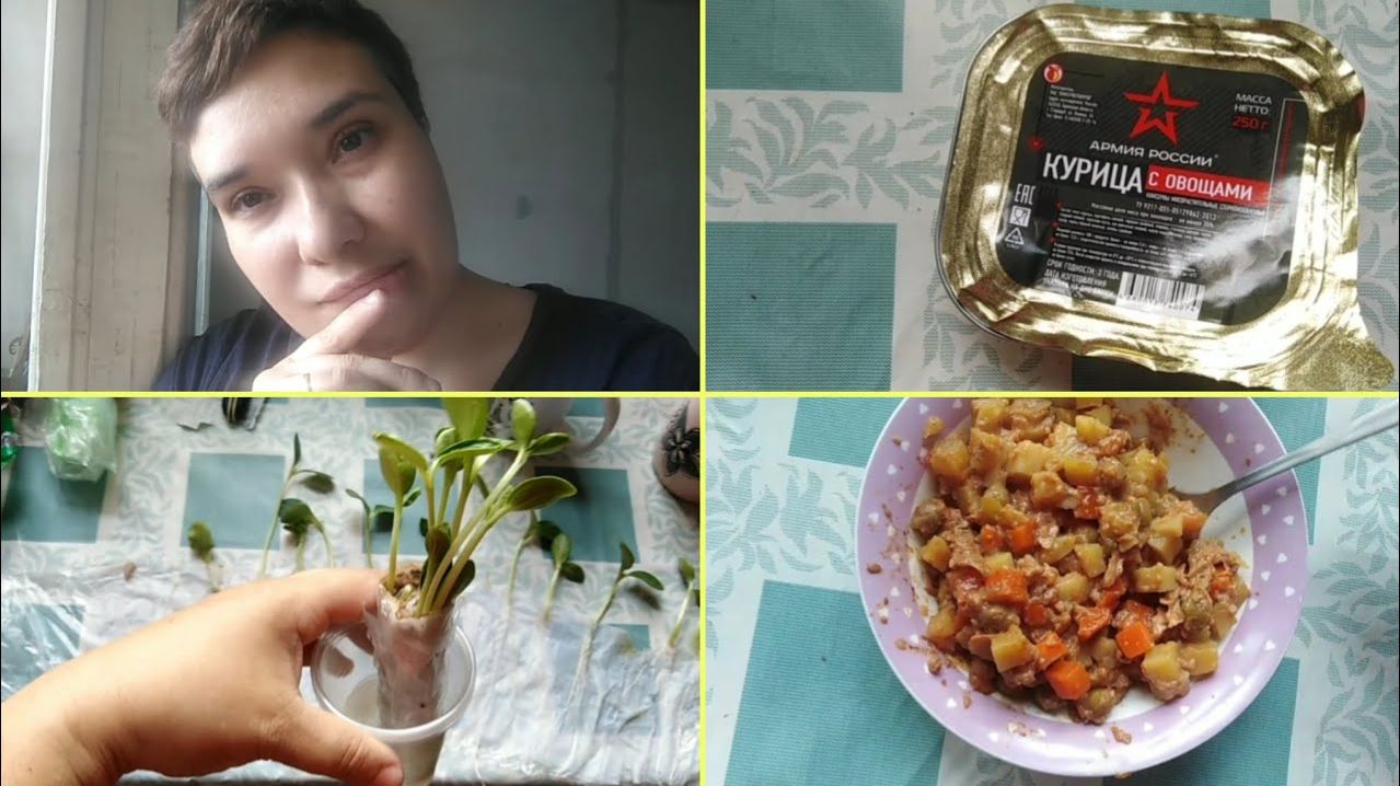 39-2024 Всего 7 дней и можно сажать. Вся опухла. Ураган, град, всё пропало... __ Elena Pero