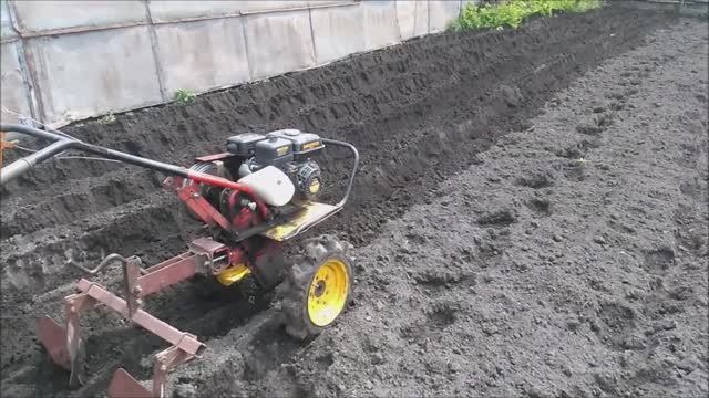 Посадка картофеля мотоблоком. Как сажать картошку мотоблоком