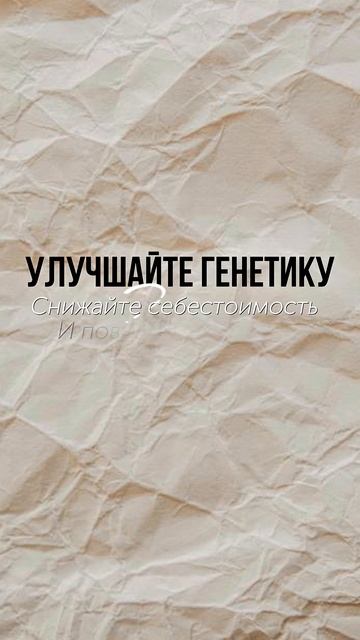 Слабая генетика — это прямые убытки💵