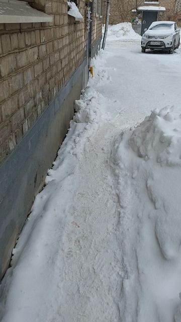 №1561 Двор Г. Звезда 73-Красноармейская 52 26 февраля 2026 г., 17:44:33 VID_20260226_174338351