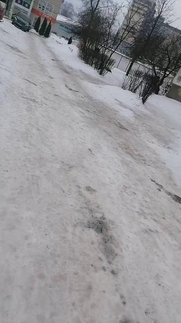 Ленинградская область 270226 ИСТОЧНИК ПЕРЕМЕН - АЗ Н-СОФ ТРИ (8)