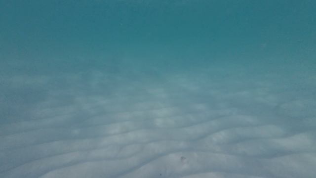 Остров Ко Ронг(Koh Rong), Тур по островам - пляж Long Beach под водой. Декабрь 2025. Камбоджа.