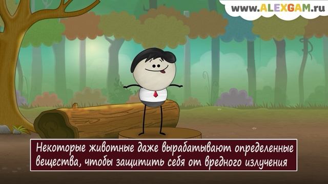 Могут ли животные получить солнечный ожог?