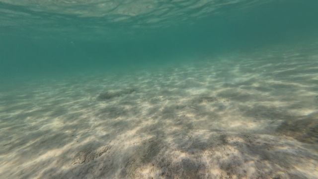 Остров Ко Ронг (Koh Rong), Снорклинг пляж Lonely Beach - камни. Декабрь 2025. Камбоджа.