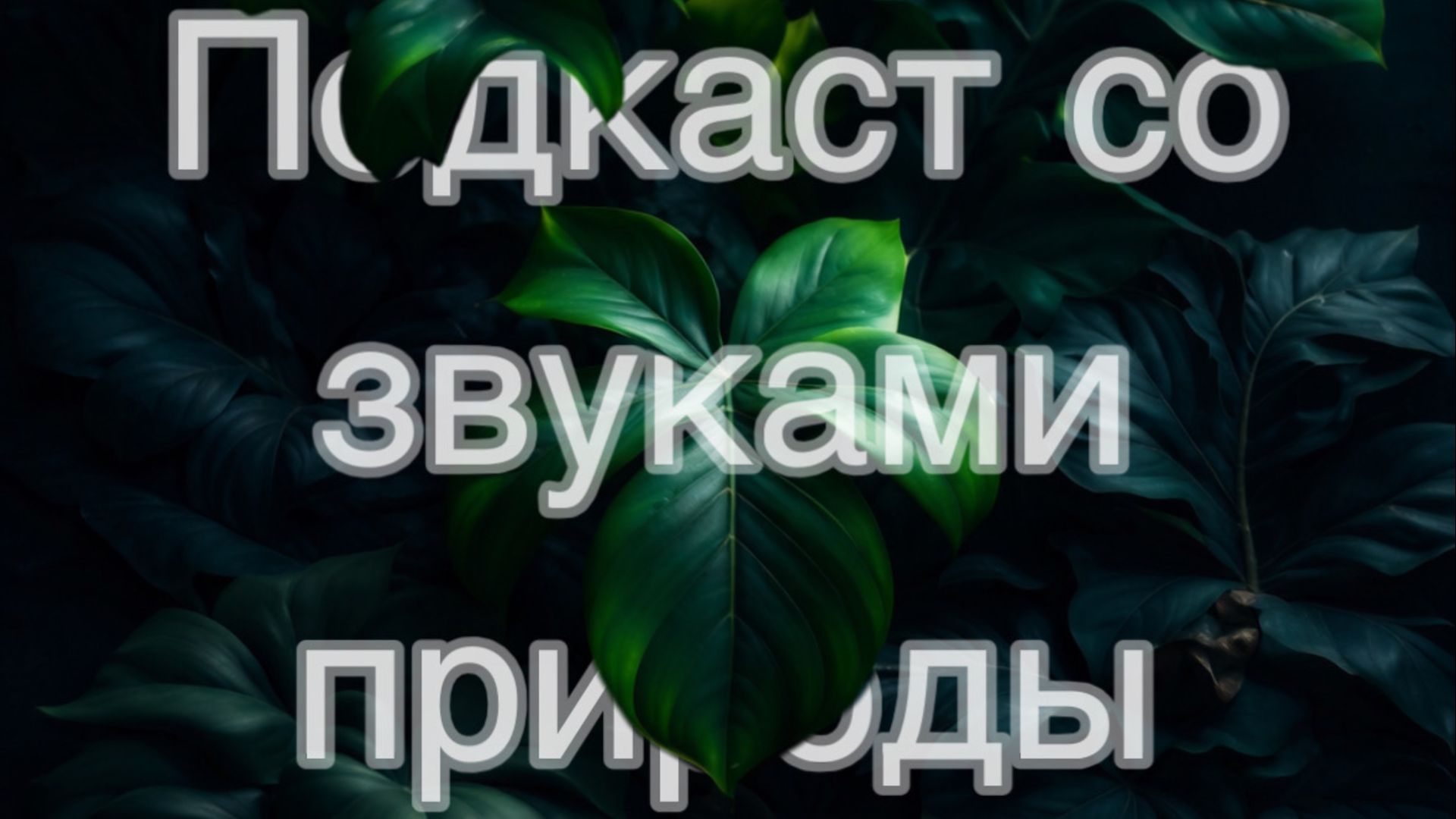 Пение птиц весной