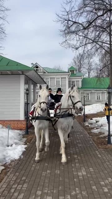 Катание в закрытой карете