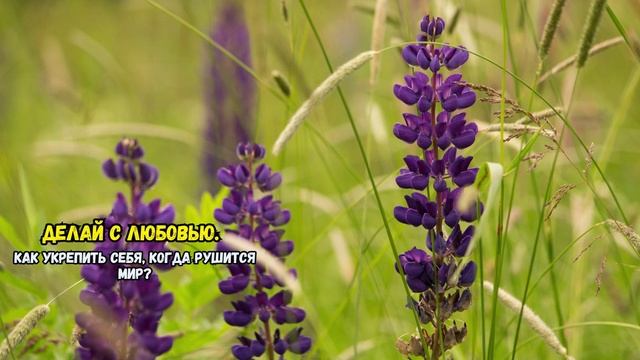 Делай с любовью. Как укрепить себя, когда рушится мир?