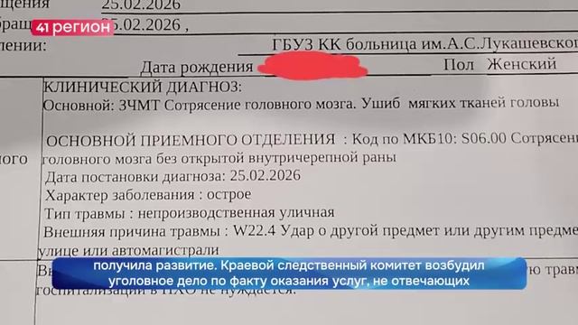 ПАДЕНИЕМ НАЛЕДИ НА ЮНУЮ ЖИТЕЛЬНИЦУ КАМЧАТКИ ЗАИНТЕРЕСОВАЛИСЬ НА ФЕДЕРАЛЬНОМ УРОВНЕ•НОВОСТИ КАМЧАТКИ