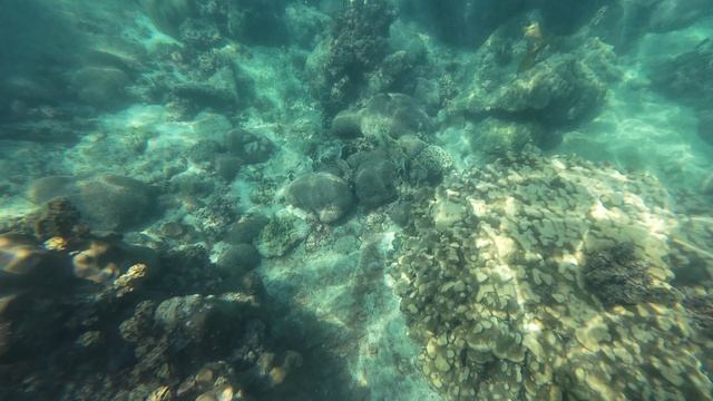 Остров Ко Ронг(Koh Rong), Снорклинг -  кораллы, камни, рыбы. Декабрь 2025. Камбоджа.