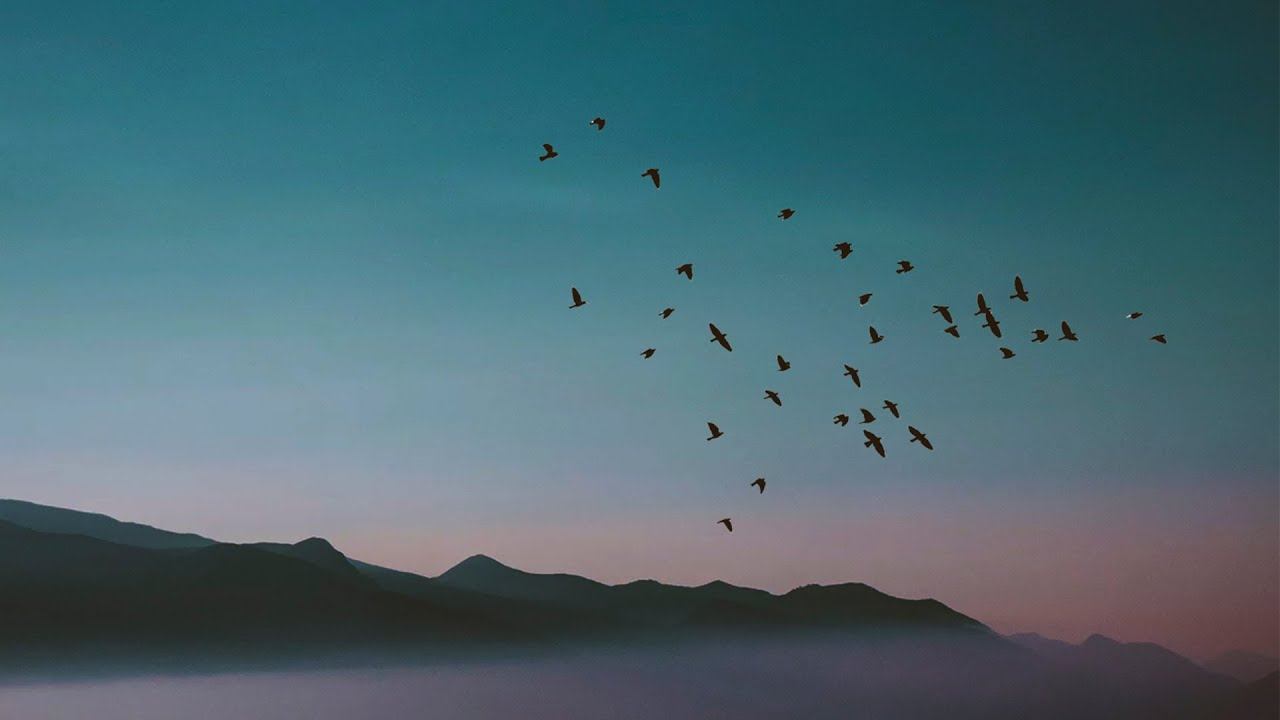 Notan Nigres - Fly Away (Audio)