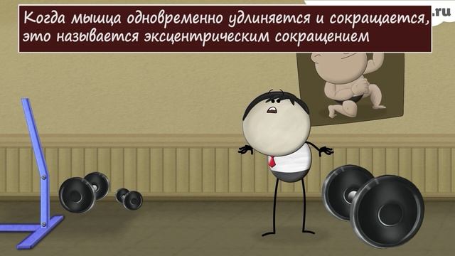 Почему у нас болят мышцы?