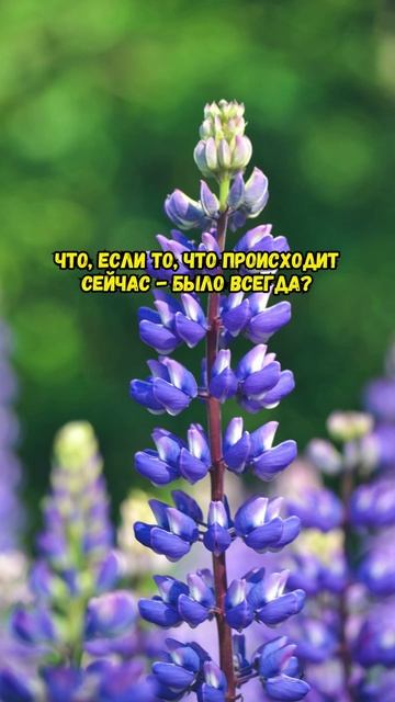 Что, если то, что происходит сейчас - было всегда?