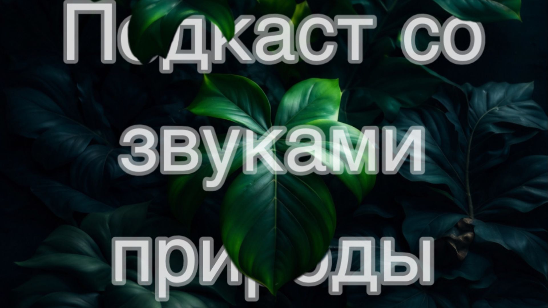 Треск дров в костре и уханье совы
