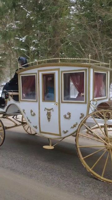 Катание в закрытой карете